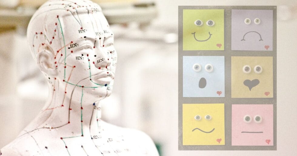 The Connection Between Meridians and Emotions - Global Healer Map